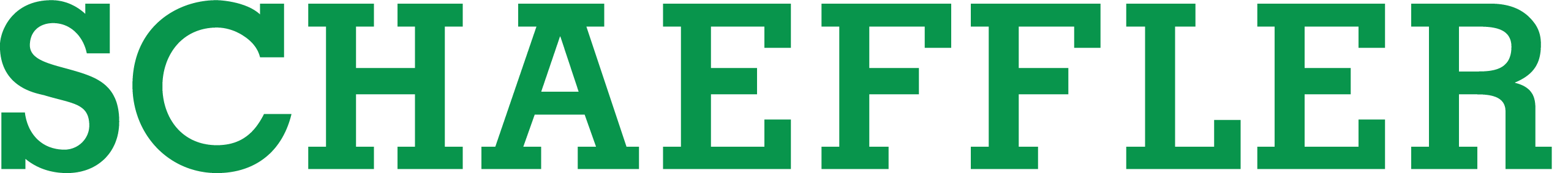 Ordentliche Hauptversammlung 2025